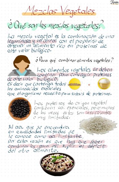 MEZCLAS VEGETALES | Kevin Xobin | uDocz