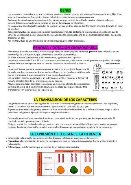 LA EXPRESIÓN DE LOS GENES | Friné SS | uDocz