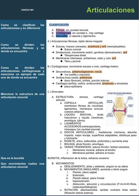 Articulaciones A | Vanesa MH | uDocz