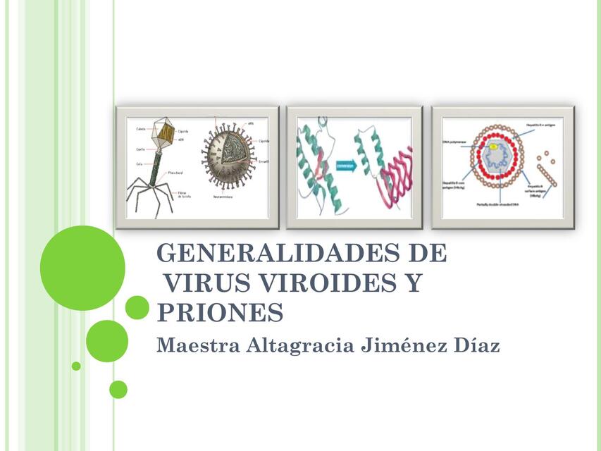 Generalidades de virus viroides y priones | Yaqueline guevara diaz | uDocz