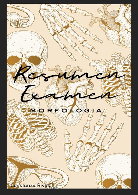 Resumen morfo | Constanza Rivas | uDocz