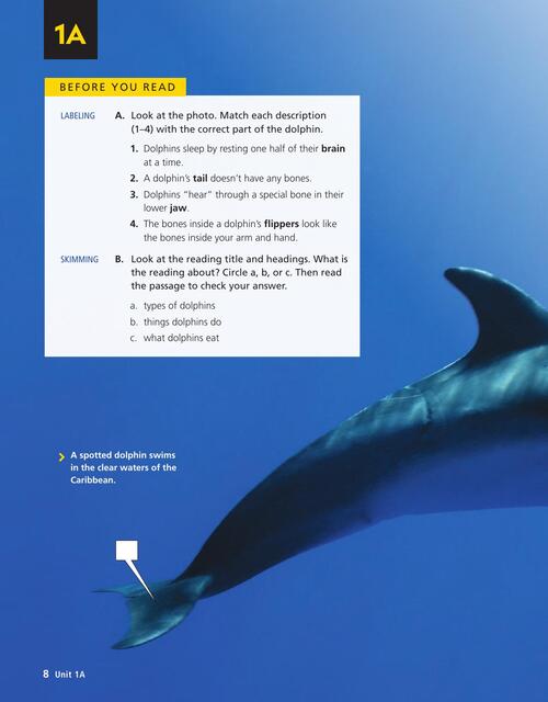 Reading Explorer 1 Third Edition Paul Macintyre Da | Nataly | uDocz