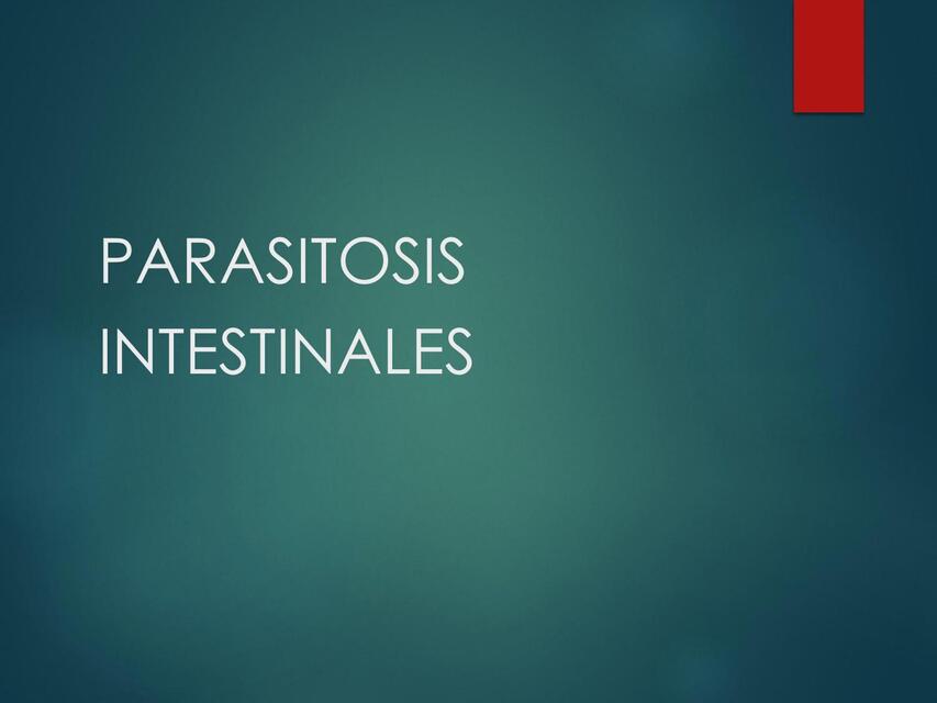 Parasitismo intestinal 1 | Kiara Guzman | uDocz
