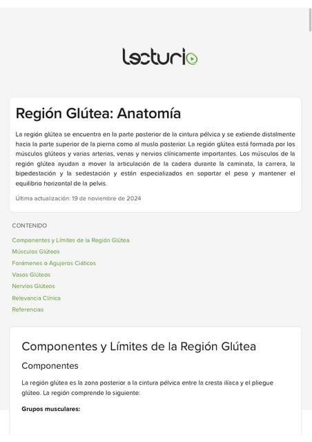 Anatomía lecturio Región Glútea Anatomía Lecturio | Briggitte Yamilé ...