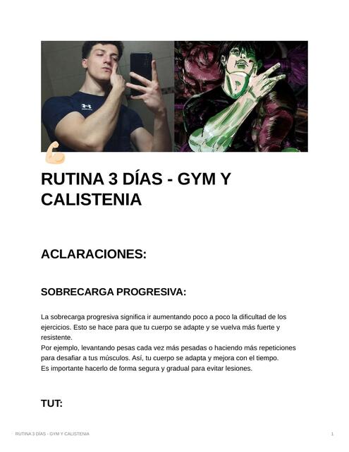 Rutina Gym 3 días y calistenia | YOLBER | uDocz