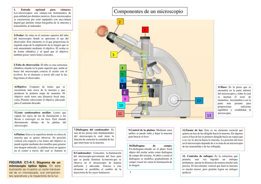 efnc | Papita Asada | uDocz