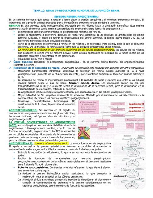 Renal 4 | Carlos Daniel Cárdenas Santos | uDocz