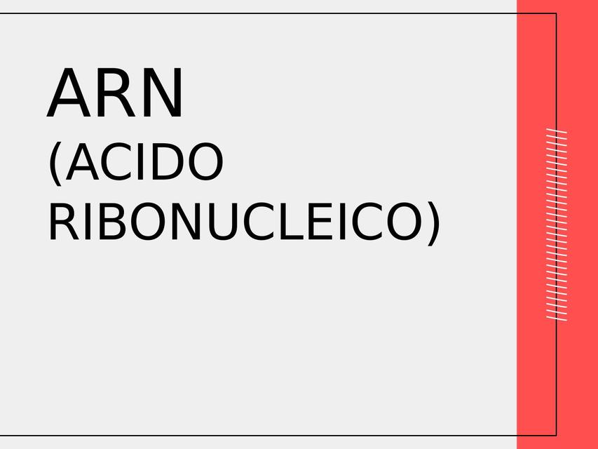 ARN (Ácido ribonucleico)