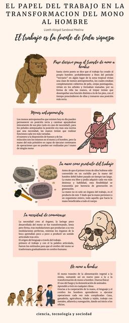 El papel del trabajo en las transformación del monto al hombre ...