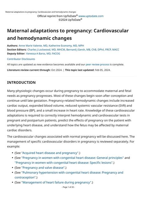 Maternal adaptations to pregnancy Cardiovascular a | Yosselin Huinac ...