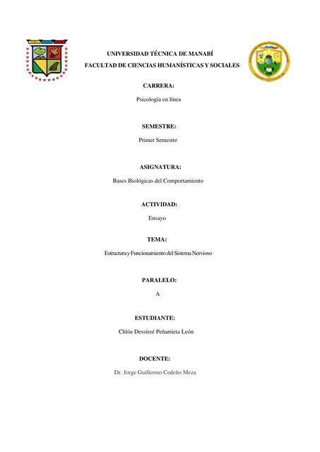 Ensayo de la Estructura y Funcionamiento del Sistema Nervioso | Chlóe ...