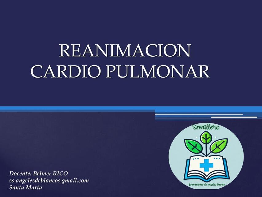 RCP | Belmer J | uDocz