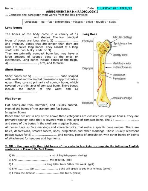 TP N 9 BONES 22 | Lucila | uDocz