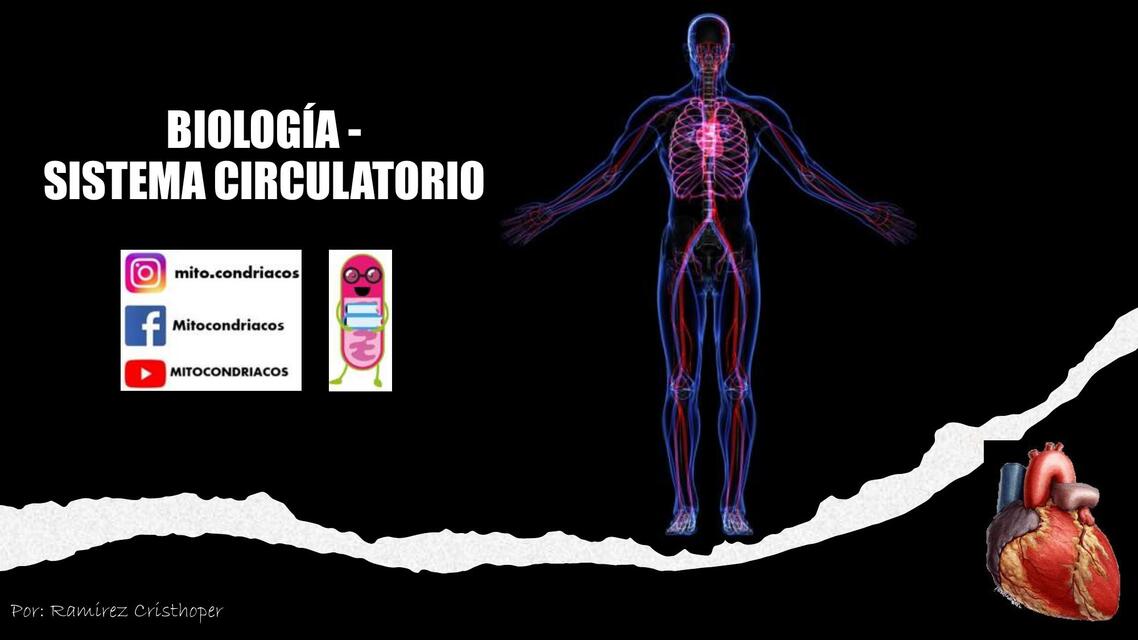 7 SISTEMA CIRCULATORIO EN PLANTAS Y ANIMALES | victor alfonso | uDocz