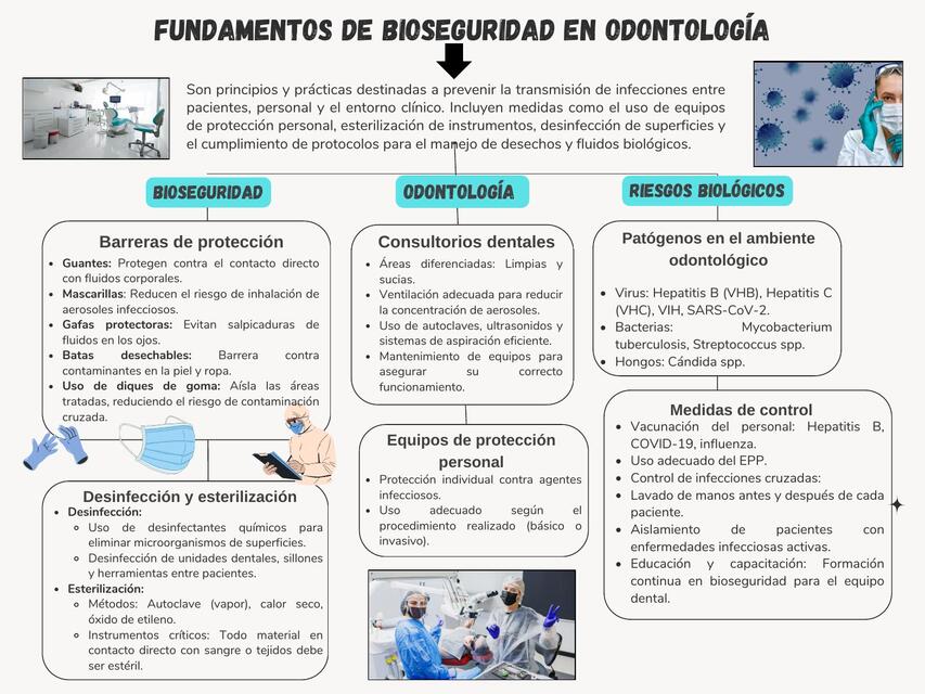 Todo sobre ergonomía | Paula | uDocz
