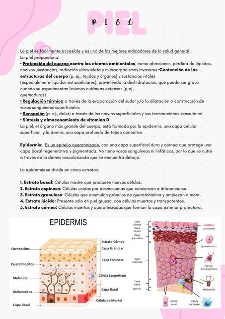 Piel | Yosselin Ramon | uDocz