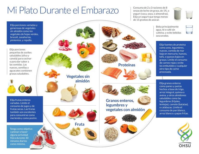 plato saludable embarazada 1 | Camila Andrea Azúcar García | uDocz