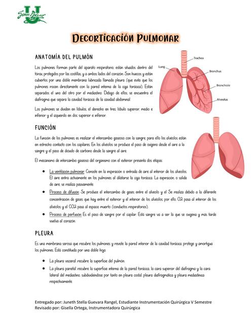 Decorticación Pulmonar | Juneth | uDocz