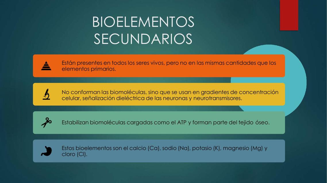 bioelementos secundarios | PENSAMIENTO ANATÓMICO | uDocz