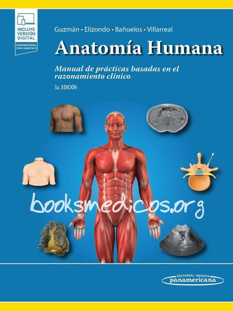 Anatomia Humana Manual | Santiago | uDocz