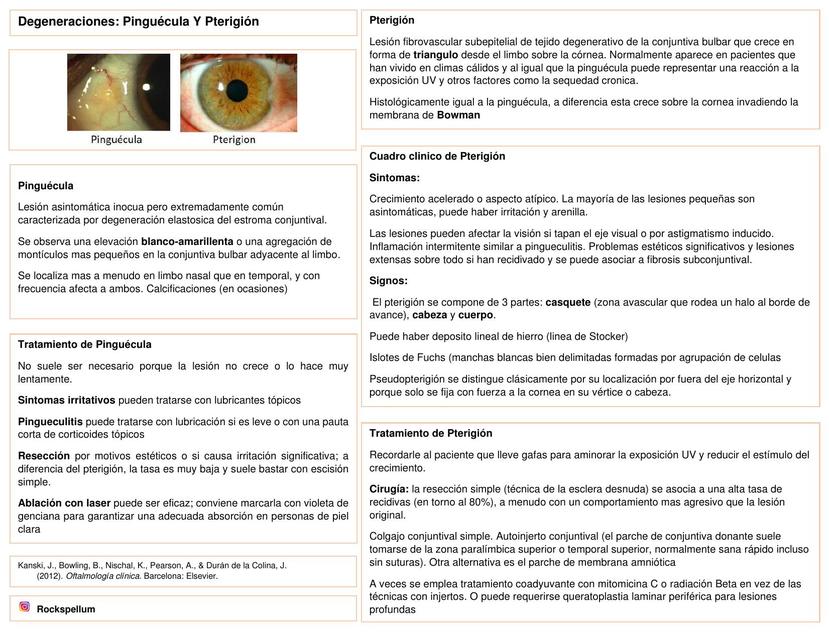 Resúmenes de Pterigión | Descarga apuntes de Pterigión