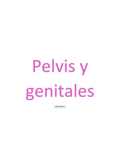 Pelvis y genitales | lula | uDocz