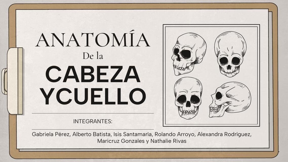 Anatomía de la cabeza y cuello | GABRIELA | uDocz
