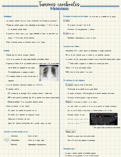 Tumores cerebrales Metástasis | Abillely Casimiro | uDocz