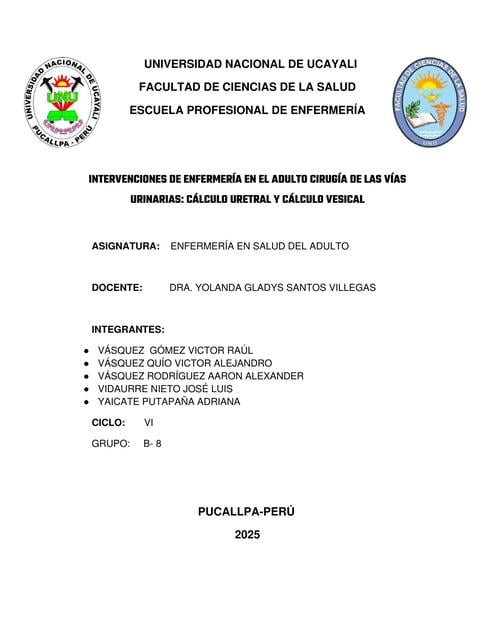 Seminario Cálculo Uretral Cálculo Vesical | jose vidaurre nieto | uDocz