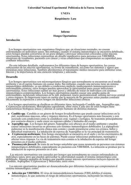 Informe | Noa Rosales | uDocz