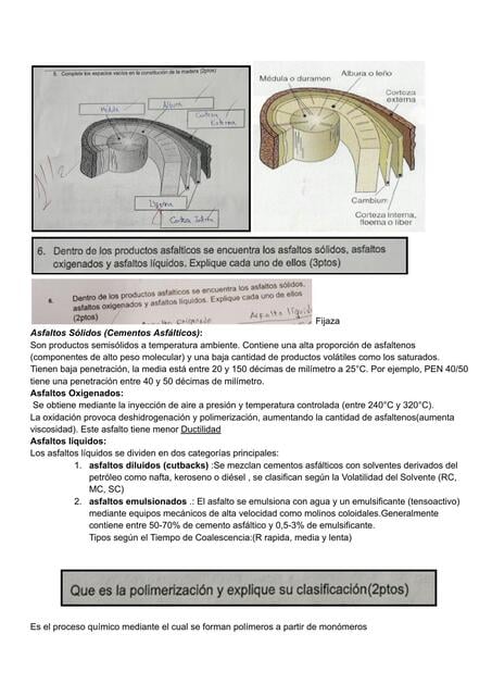 Final Tmc Wilfredo Condori Ñaupa Udocz