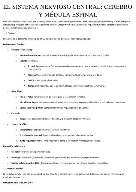 El Sistema Nervioso Central | Celeste Codutti | uDocz