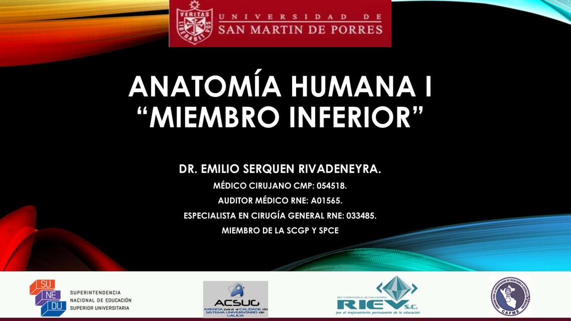 Miembro inferior | Cristina | uDocz