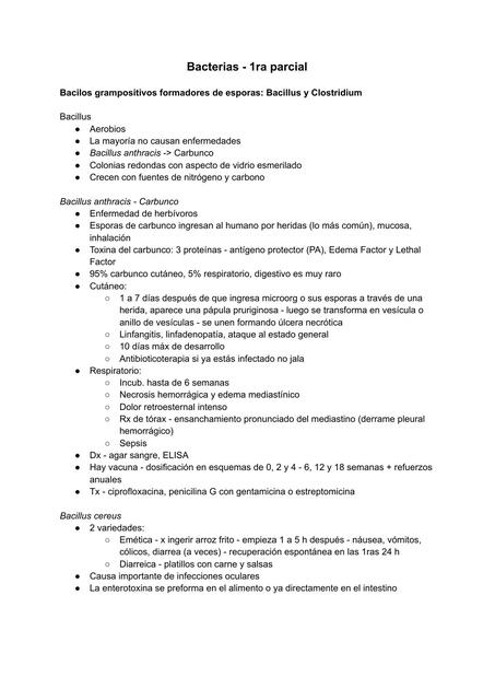 bacterias 1ra parcial | sarahi | uDocz