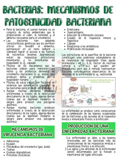 Bacterias: Mecanismos de Patogenicidad bacteriana | Antonella ...