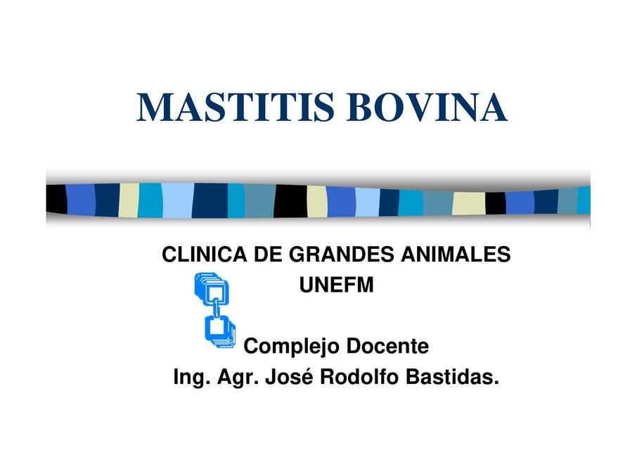 MASTITIS BOVINA | Yerfoquie | uDocz