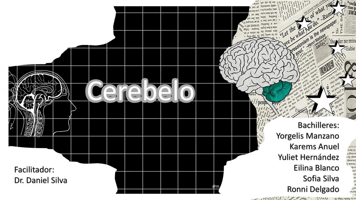 cerebelo | eilina Blanco | uDocz