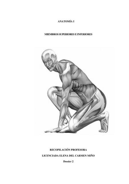 ANATOMIA I MIEMBROS SUPERIORES E INFERIO | martha verdis garcia | uDocz