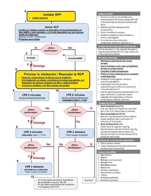 INTUBACION TET | Michell Rodriguez | uDocz