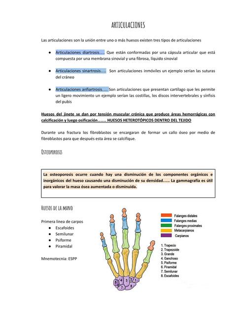 ARTICULACIONES | Gabriel | uDocz