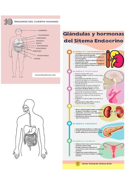 Documento 75 | Demera | uDocz