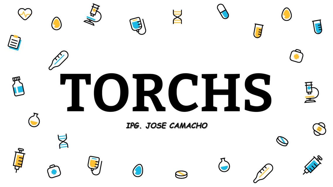 torchr | Lenni Beatriz | uDocz