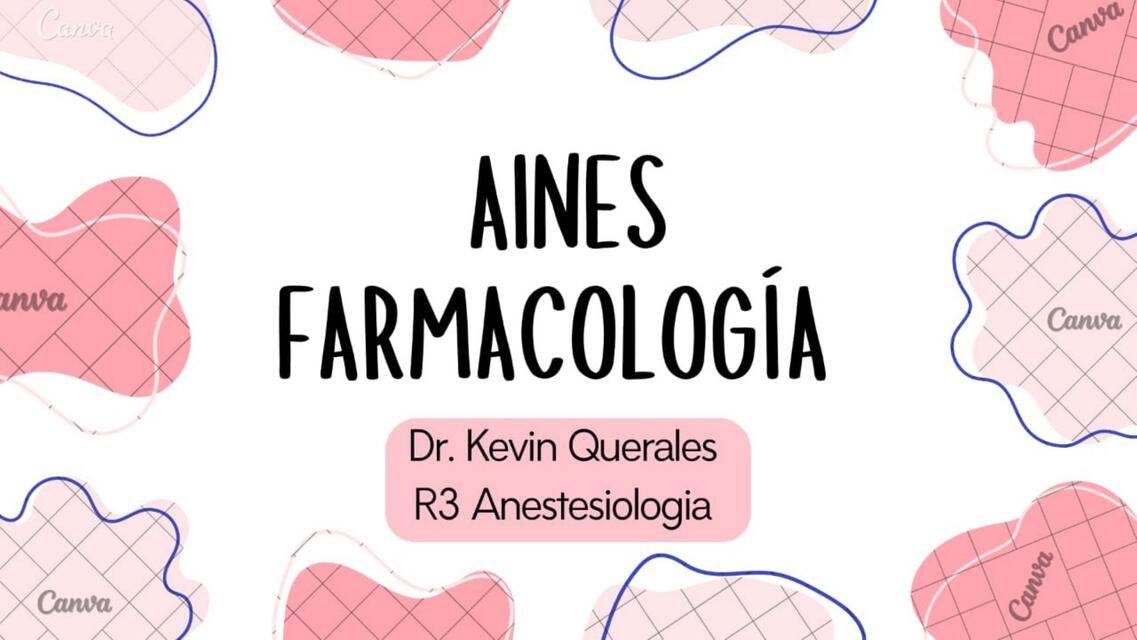 AINES | Maria | uDocz