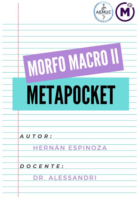 MORFO MACRO II 2P ALESSANDRI | Anthony | uDocz