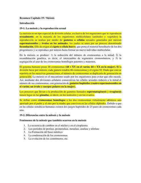Resumen Capitulo 19 | Shirley | uDocz