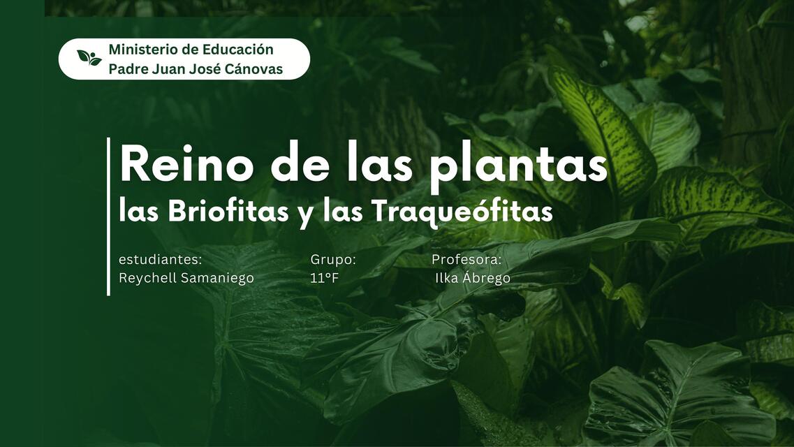 Reino de las plantas las briofitas y las traqueofitas | Ilka Abrego | uDocz