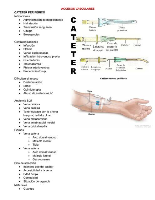 ACCESOS VASCULARES | Yubia Gonzalez | uDocz