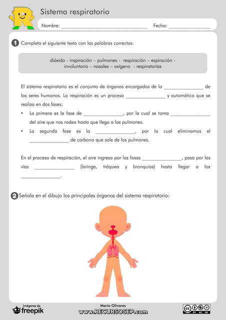 sistema respiratorio | Julia | uDocz