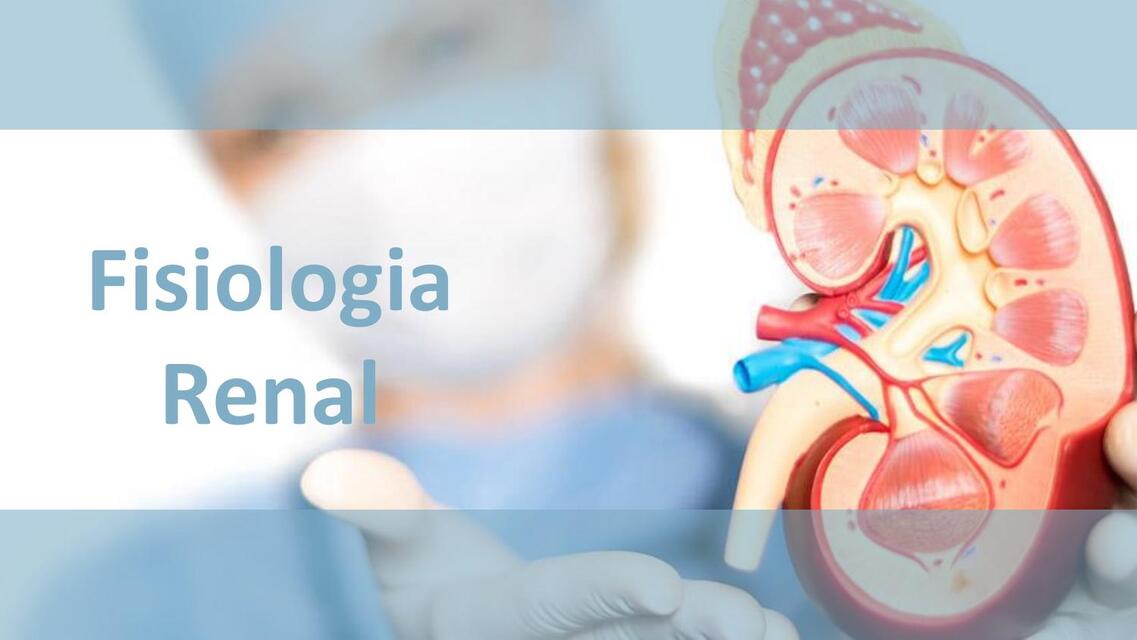 1 Renal | GUILLERMO | uDocz