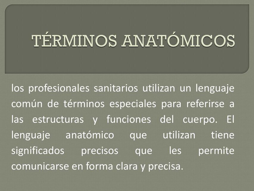 TÉRMINOS ANATÓMICOS 1 | Rocio jaquelina Quevedo | uDocz